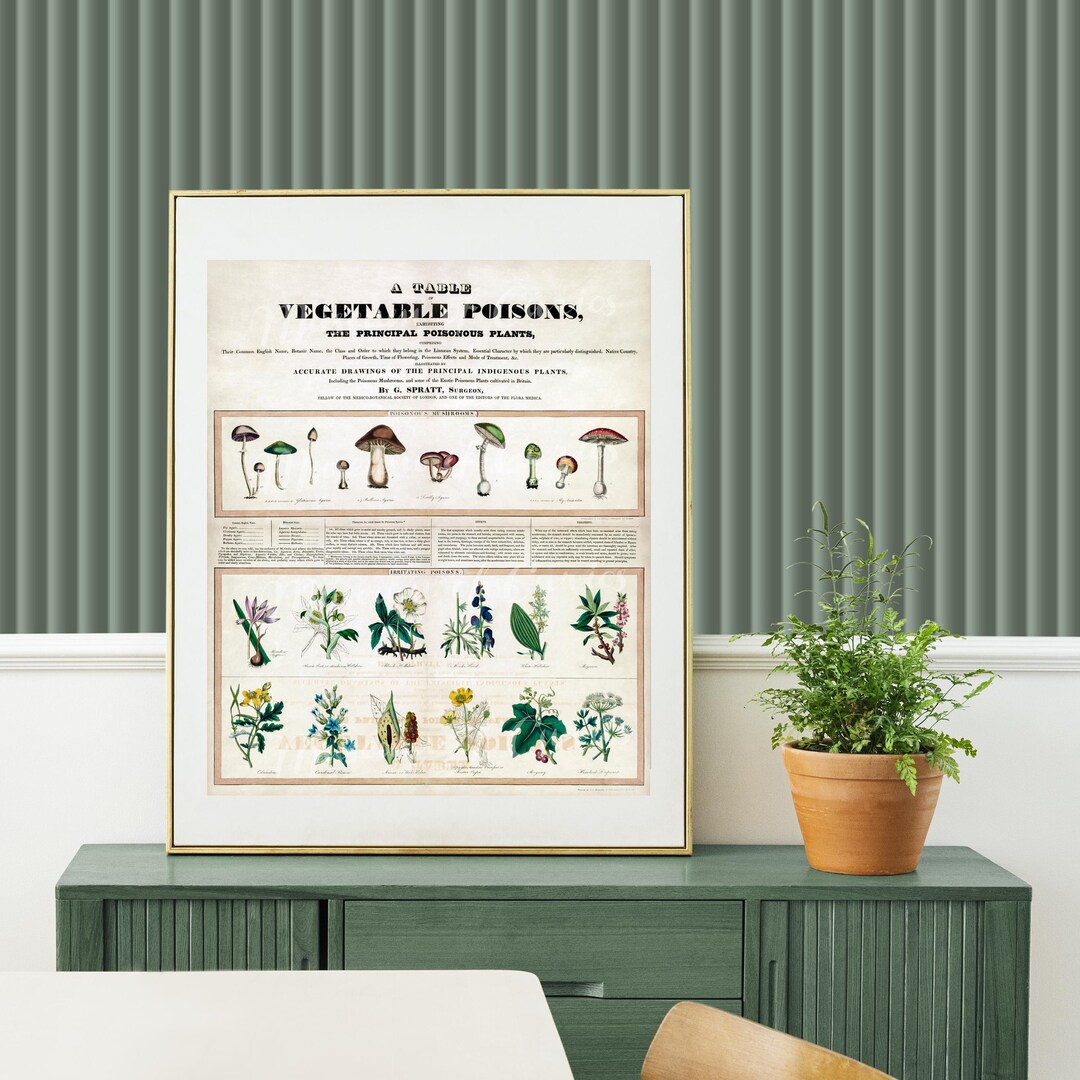 Digital, 1840-50, Botanical Chart, Table of Vegetable Poisons ...