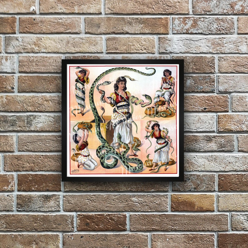 Digital 1892 Snake Woman Snake Lady Vintage Circus Poster - Etsy