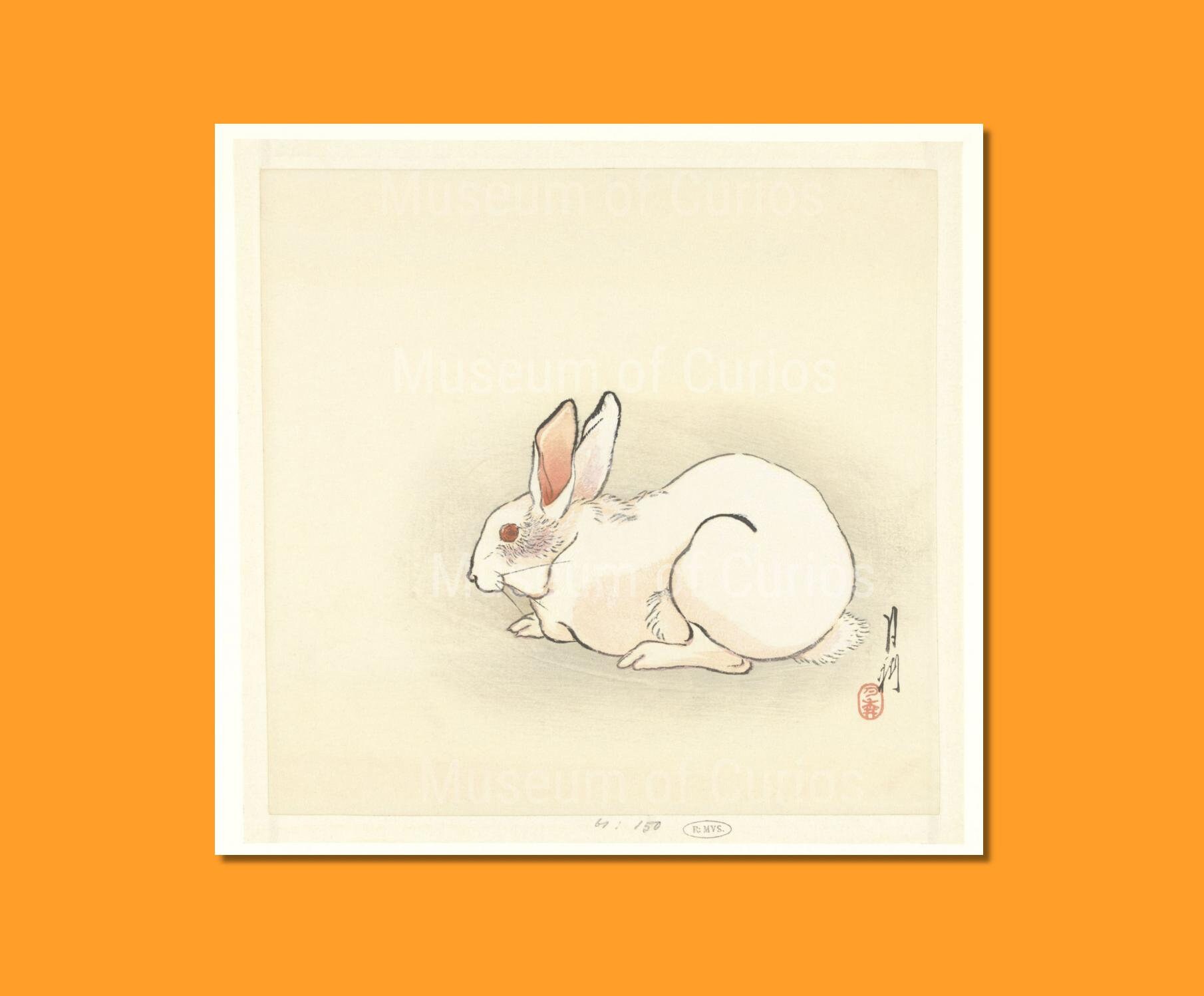Digital, Early 1900s, White Rabbit, INSTANT DOWNLOAD, Greeting Card ...