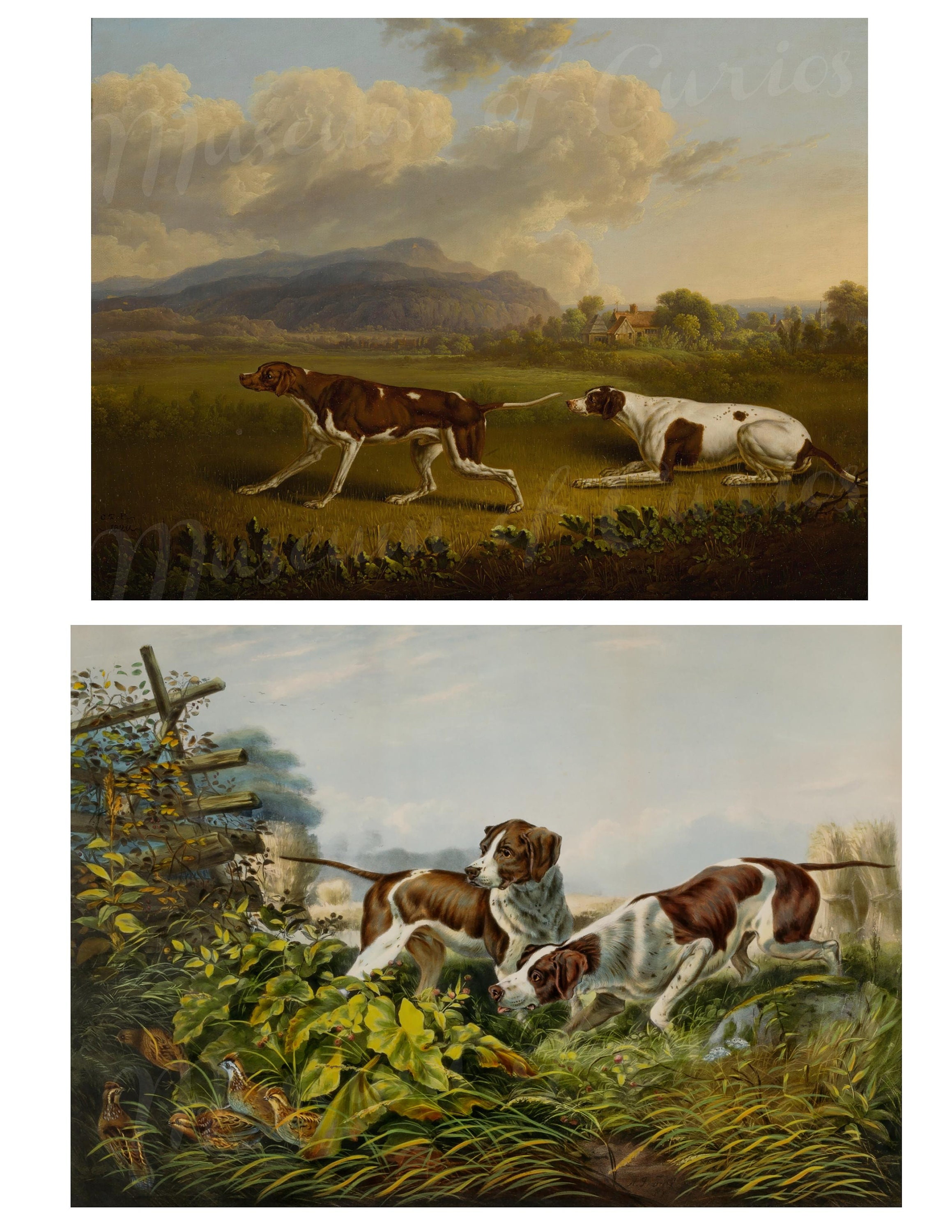 Digital Dogs and Cute Puppies Collage Sheets SET 1 42 | Etsy