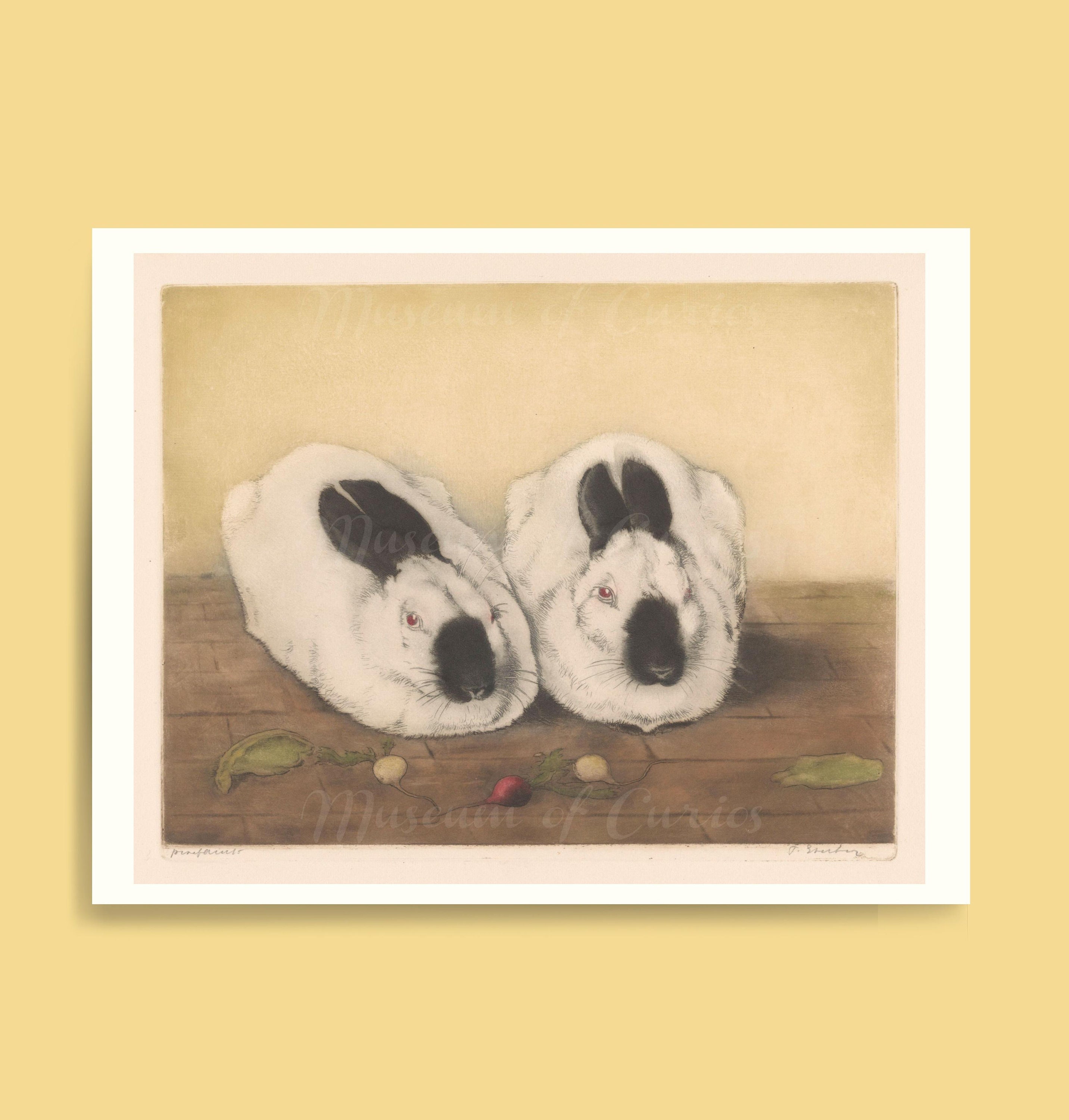 Digital, Late 1930s, Two Himalayan Rabbits, INSTANT DOWNLOAD, White ...