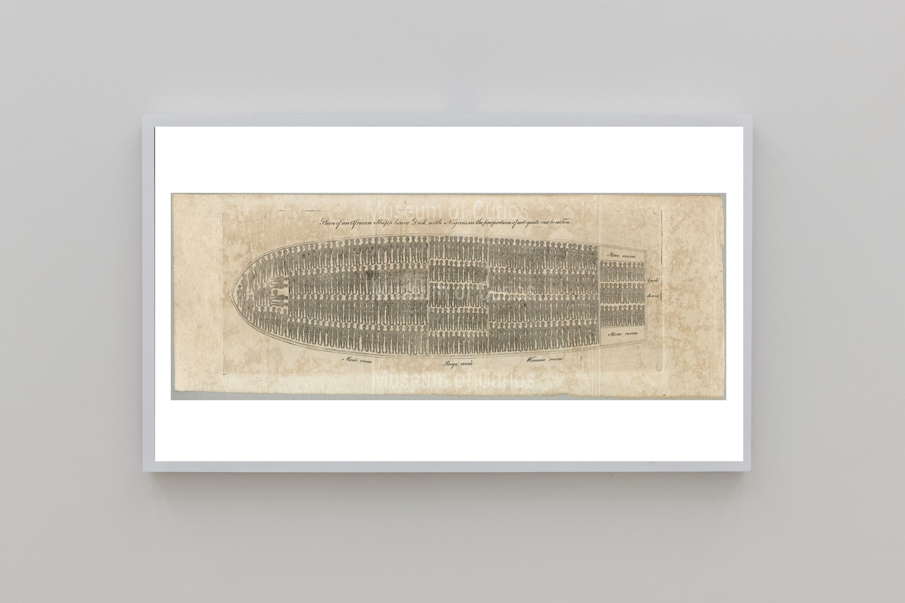 Digital, 1789, Plan of an African Slave Ship's Lower Deck, Ethnographic ...