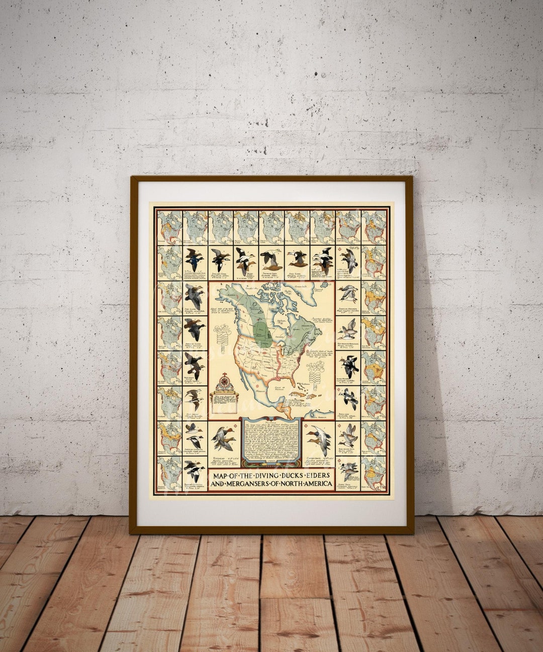 1937 Diving Ducks of North America Map Poster (digital Download) - Etsy