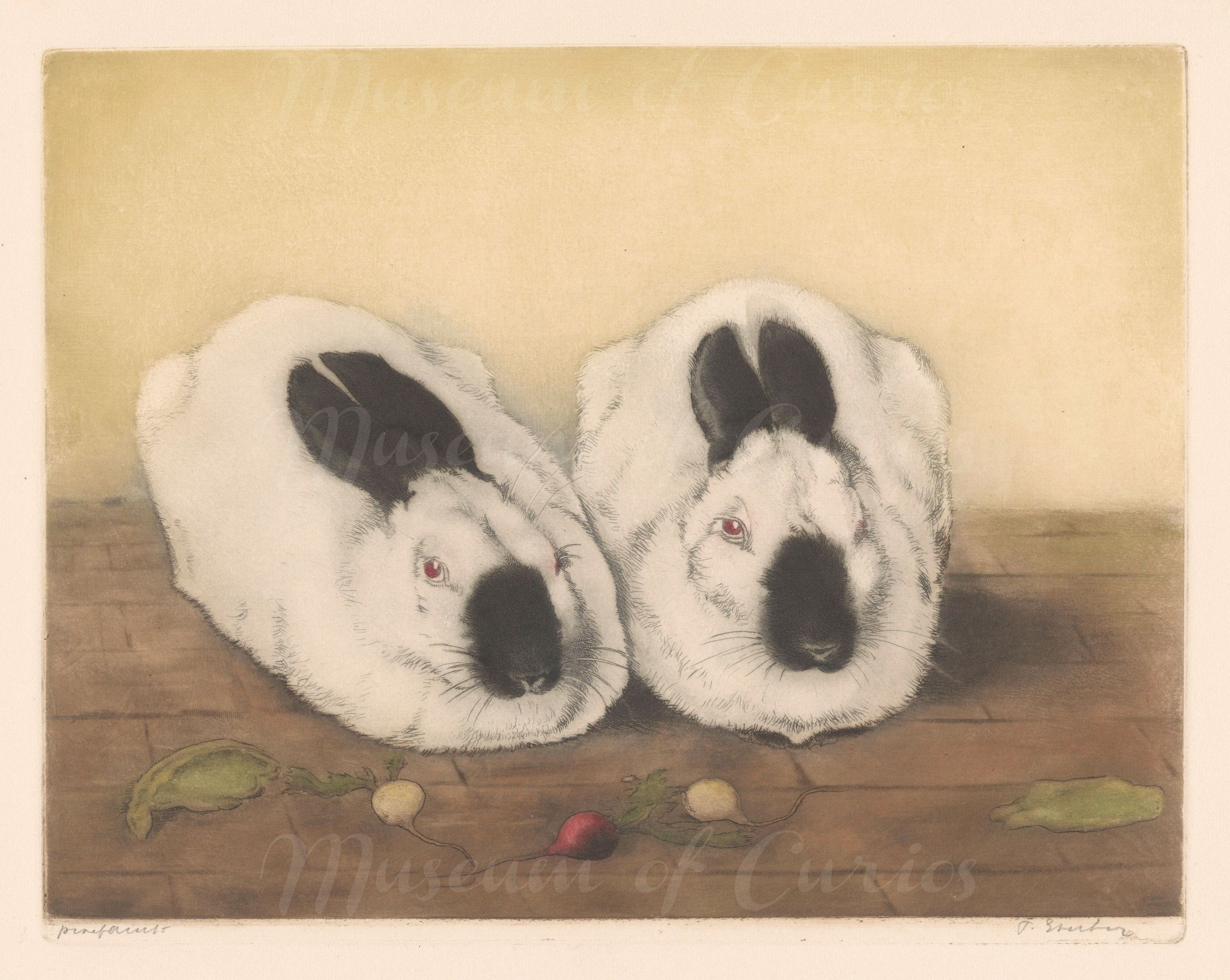 Digital, Late 1930s, Two Himalayan Rabbits, INSTANT DOWNLOAD, White ...