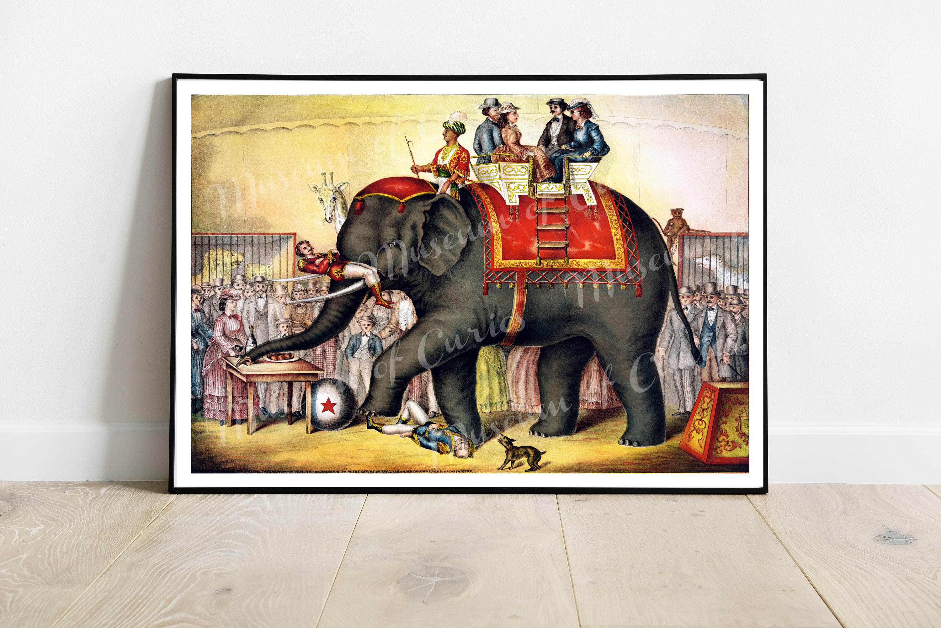 Digital, 1873, Vintage Circus Poster, Circus Elephant Doing Tricks ...