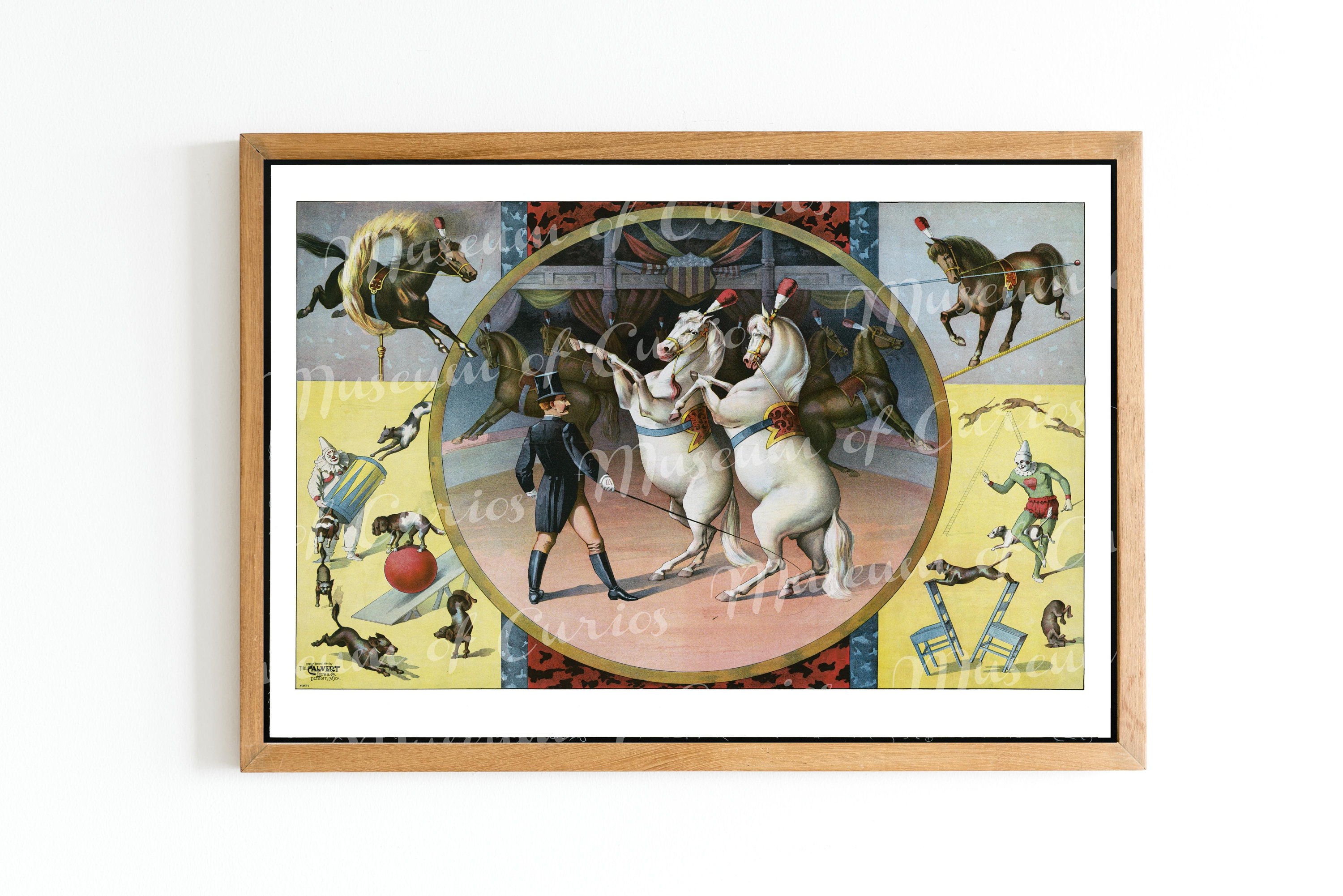 Digital, 1891, Performing White Horses, Printable, Vintage Circus ...