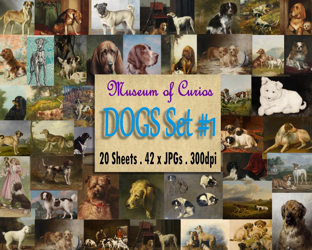 Digital, Dogs and Cute Puppies Collage Sheets, SET #1, 42 Paintings, 20 ...