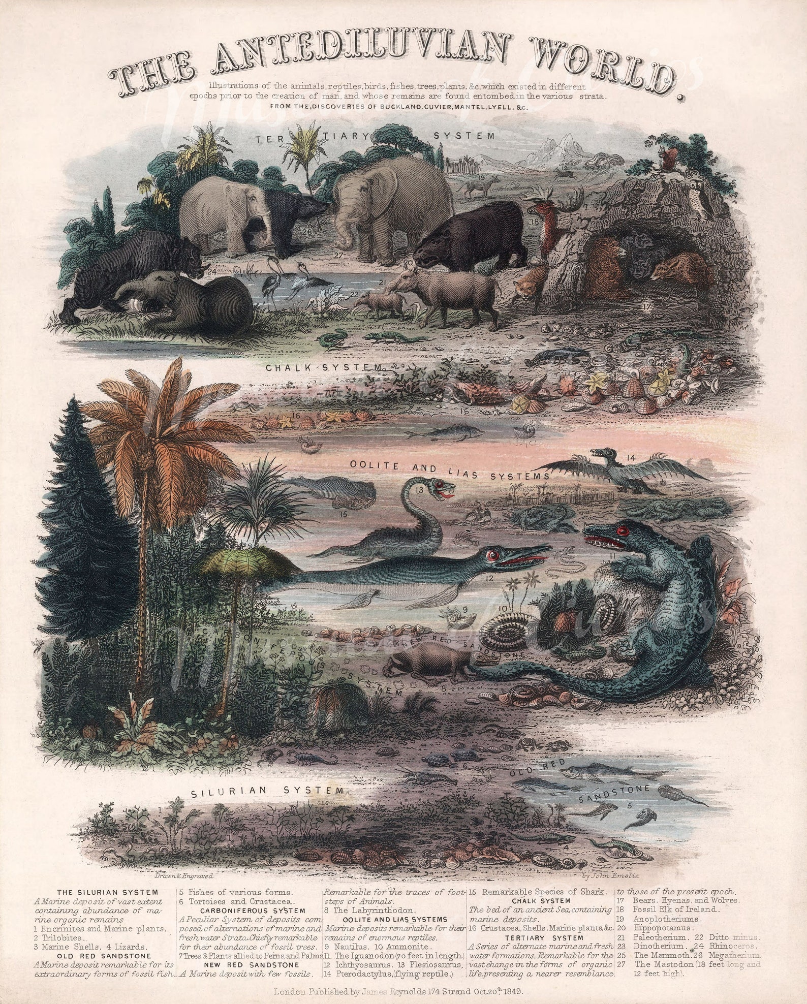 Digital, 1849, the Antediluvian World, John Emslie, Chart of Animals ...