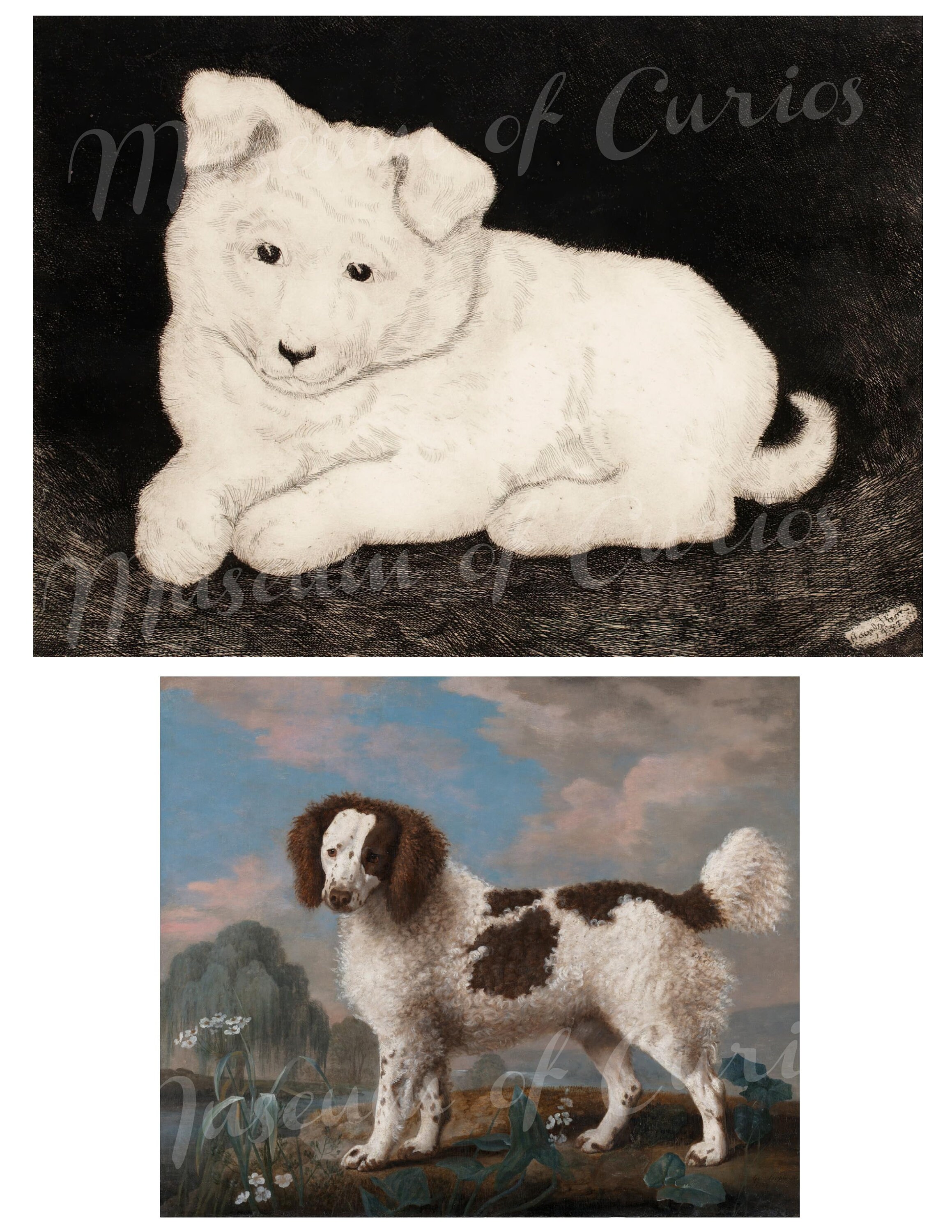 Digital Dogs and Cute Puppies Collage Sheets SET 1 42 - Etsy