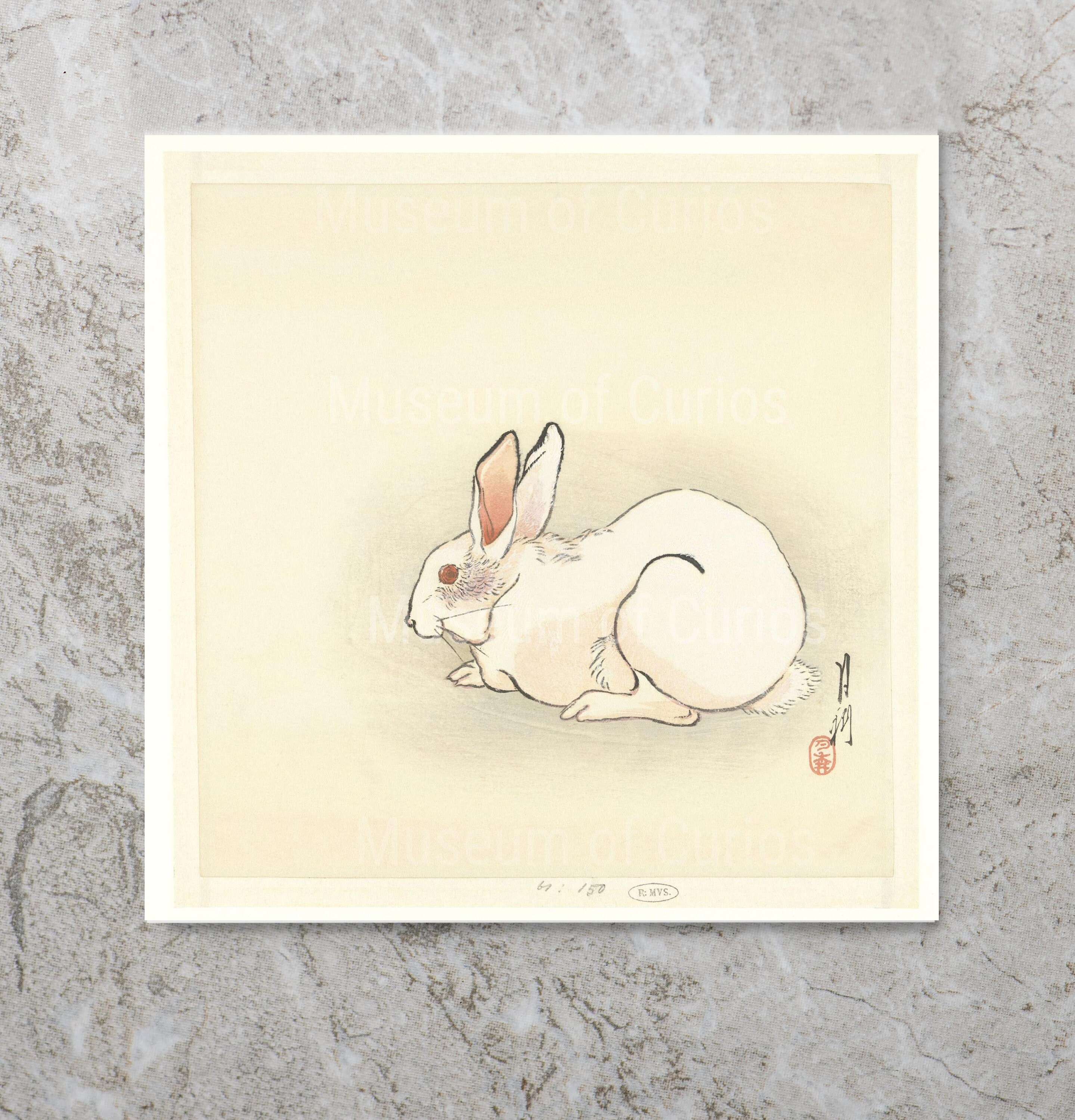 Digital, Early 1900s, White Rabbit, INSTANT DOWNLOAD, Greeting Card ...
