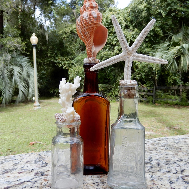 Bottle With Shells - Etsy
