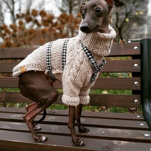 Italian Greyhound Clothes. Wool Sweater. Size S - Etsy