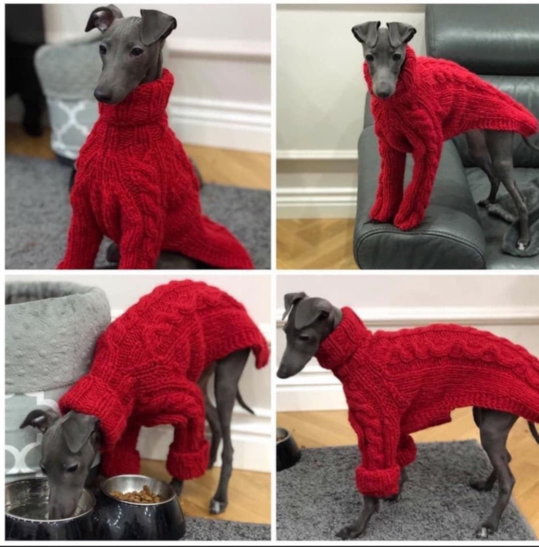 Italian Greyhound Clothes. Wool Sweater. Size S - Etsy