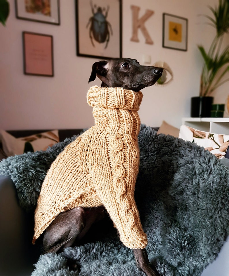 Italian Greyhound Clothes. Wool Sweater. Size M - Etsy