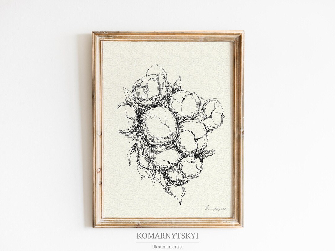 Minimalist Peonies Sketch: Botanical Wall Art (digital Print) - Etsy