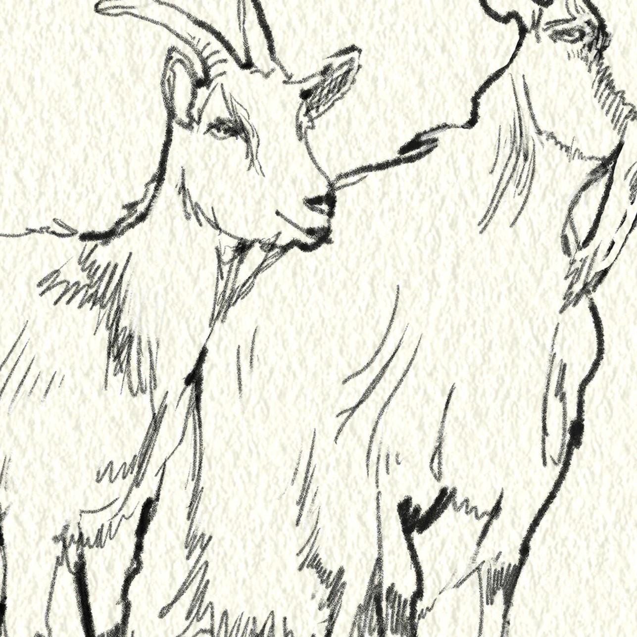 Sketch Goat | Printable Art Goat | Digital Download | Goat Print ...
