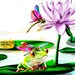 Frog on Lilly Pad Art Print - Etsy