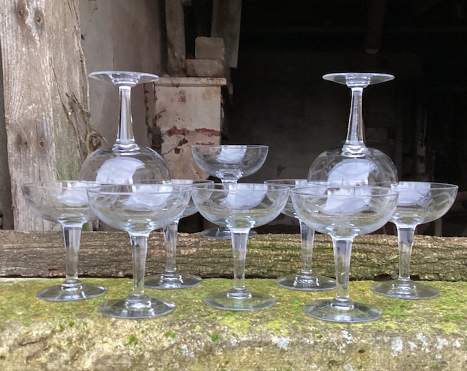 10 1920s Art Deco Champagne Coupes/10 Stemmed Glasses/etched Coupes ...