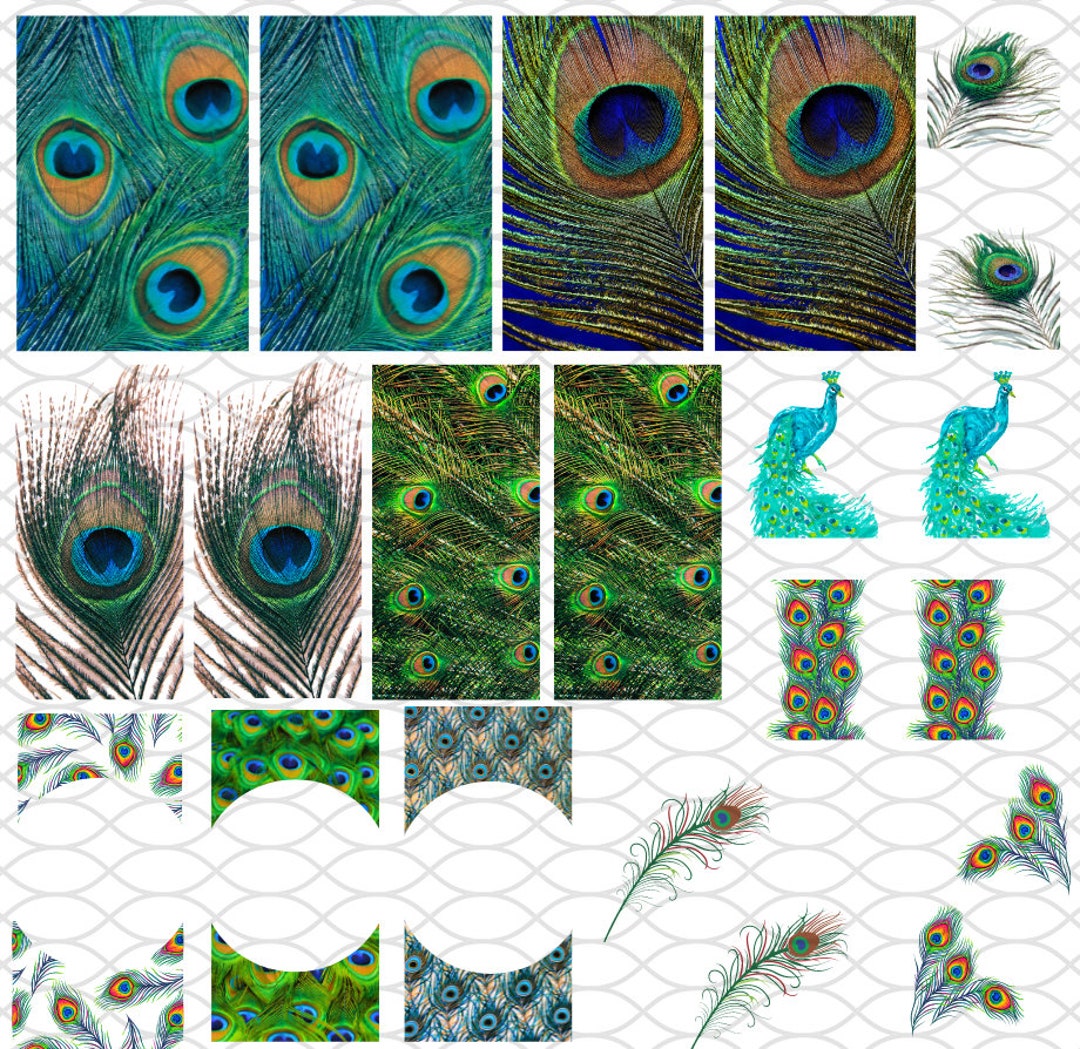 Pretty as a Peacock Waterslide Nail Decals - Etsy