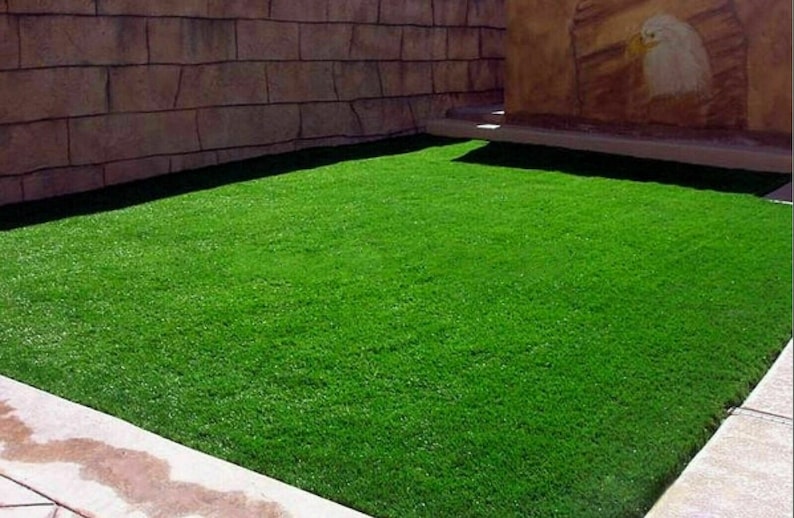 Korean Lawn Grass Seeds Plants Zoysia Tenuifoliaevergreen Etsy