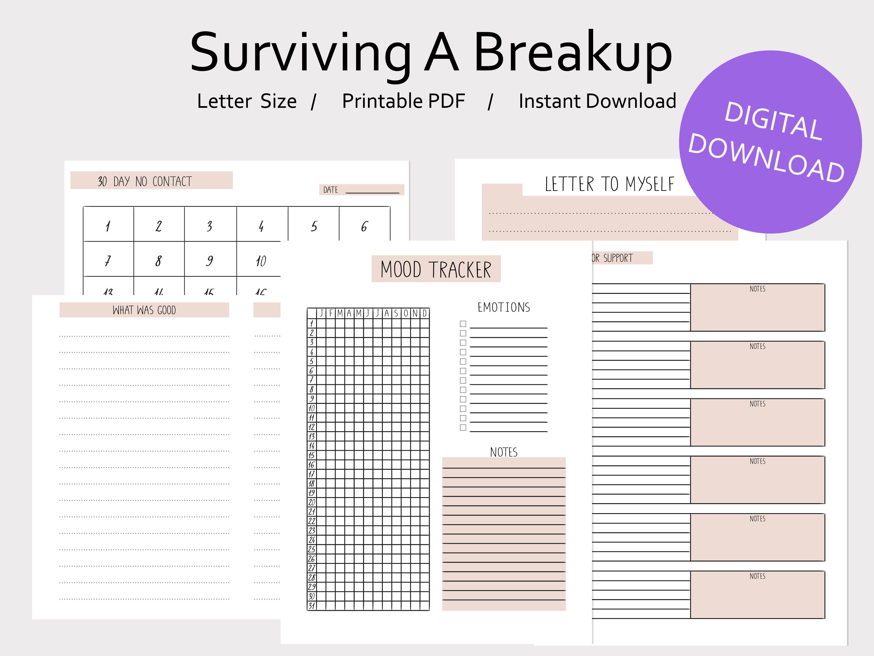 Printable Breakup Spreadsheet No Contact Rule Calendar Mood - Etsy