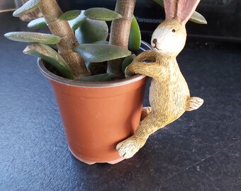 Rabbit Plant Pot | Etsy