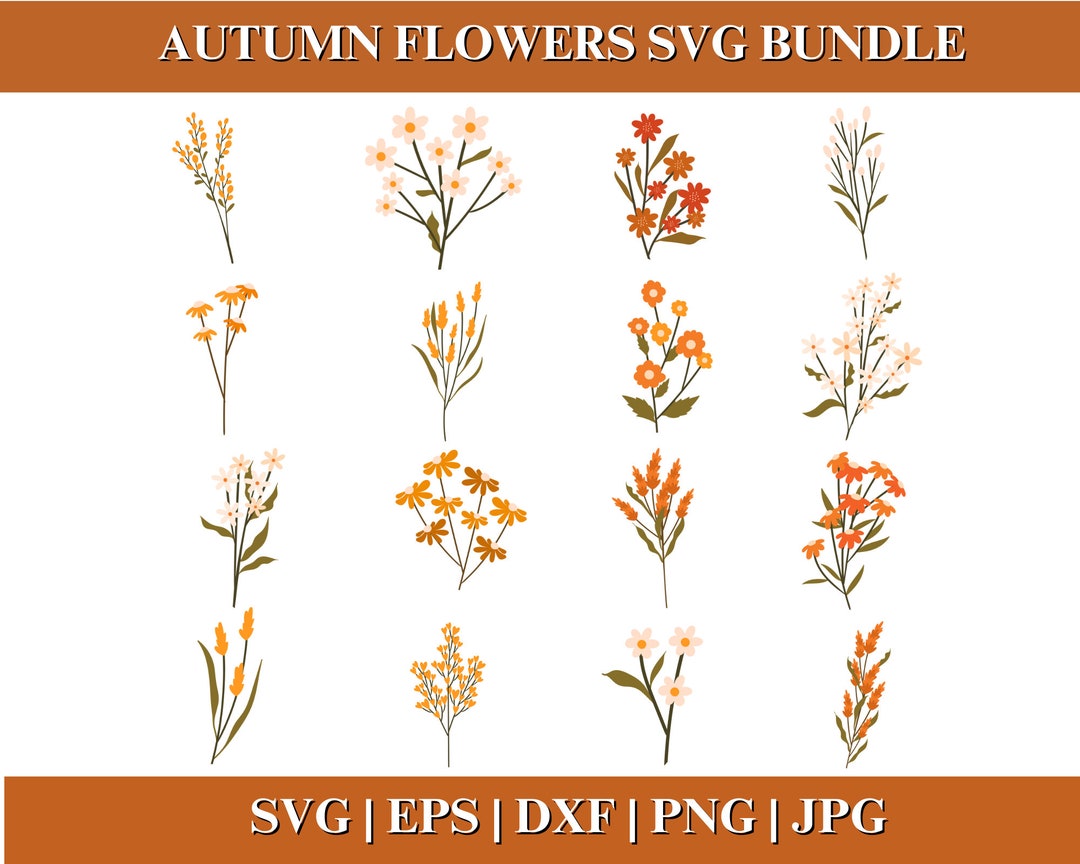 Autumn Flowers SVG, Fall Flowers PNG Bundle, Flower Vector, Floral ...