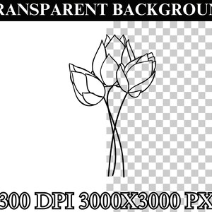 Lotus SVG Bundle, Lotus Clipart, Lotus Vector PNG, Lotus Cricut, Lotus ...