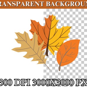 Autumn Leaves SVG, Fall Leaf Clipart Bundle, Maple Leaf Cut File for ...