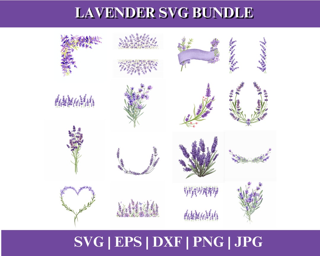 Lavender SVG Bundle, Botanical Designs, Lavender SVG Cricut, Wedding ...