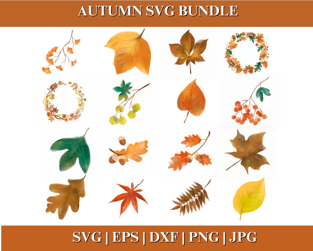 Autumn SVG Bundle, Fall Clipart PNG, Fall Leaf Clipart Bundle, Maple ...