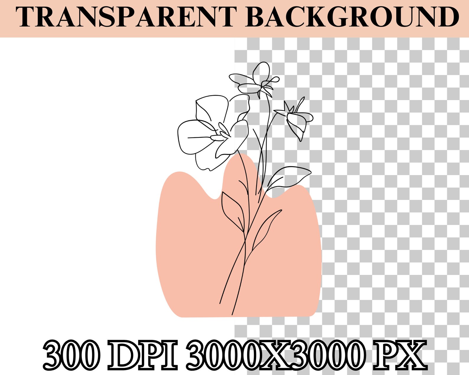 Aesthetic Flower Line SVG Bundle, Floral Line PNG, Aesthetic Flower ...