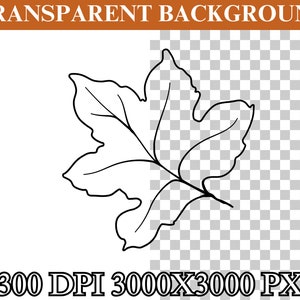 Autumn Vector SVG Bundle, Fall Leaf Outline Clipart Bundle, Autumn ...