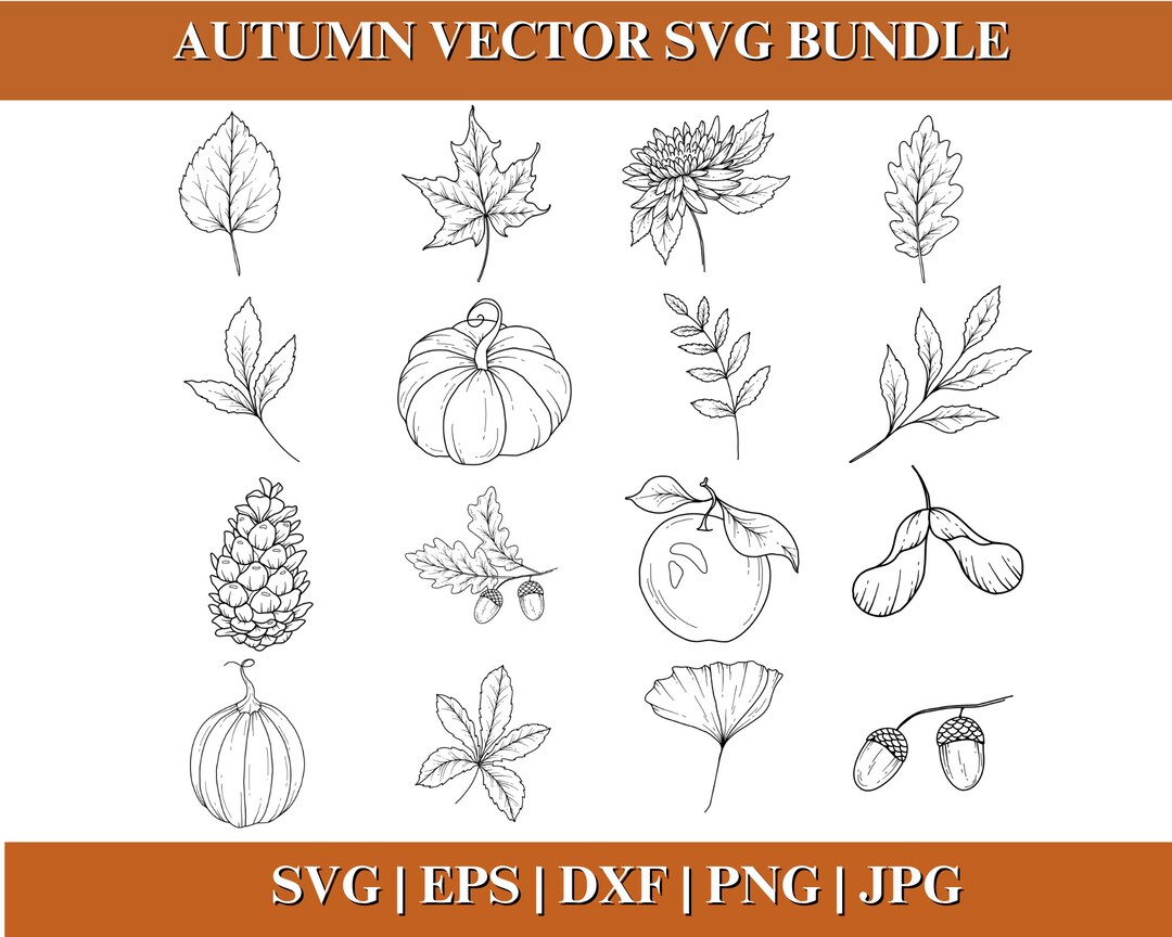 Autumn Vector SVG Bundle, Fall Leaf Outline Clipart Bundle, Autumn ...