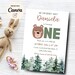 Bear 1st Birthday Invite, Beary First Birthday Invitation, Bear Party ...