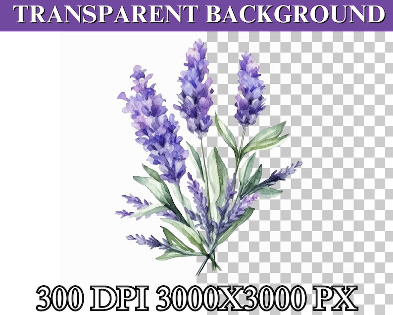 Lavender SVG Bundle, Botanical Designs, Lavender SVG Cricut, Commercial ...