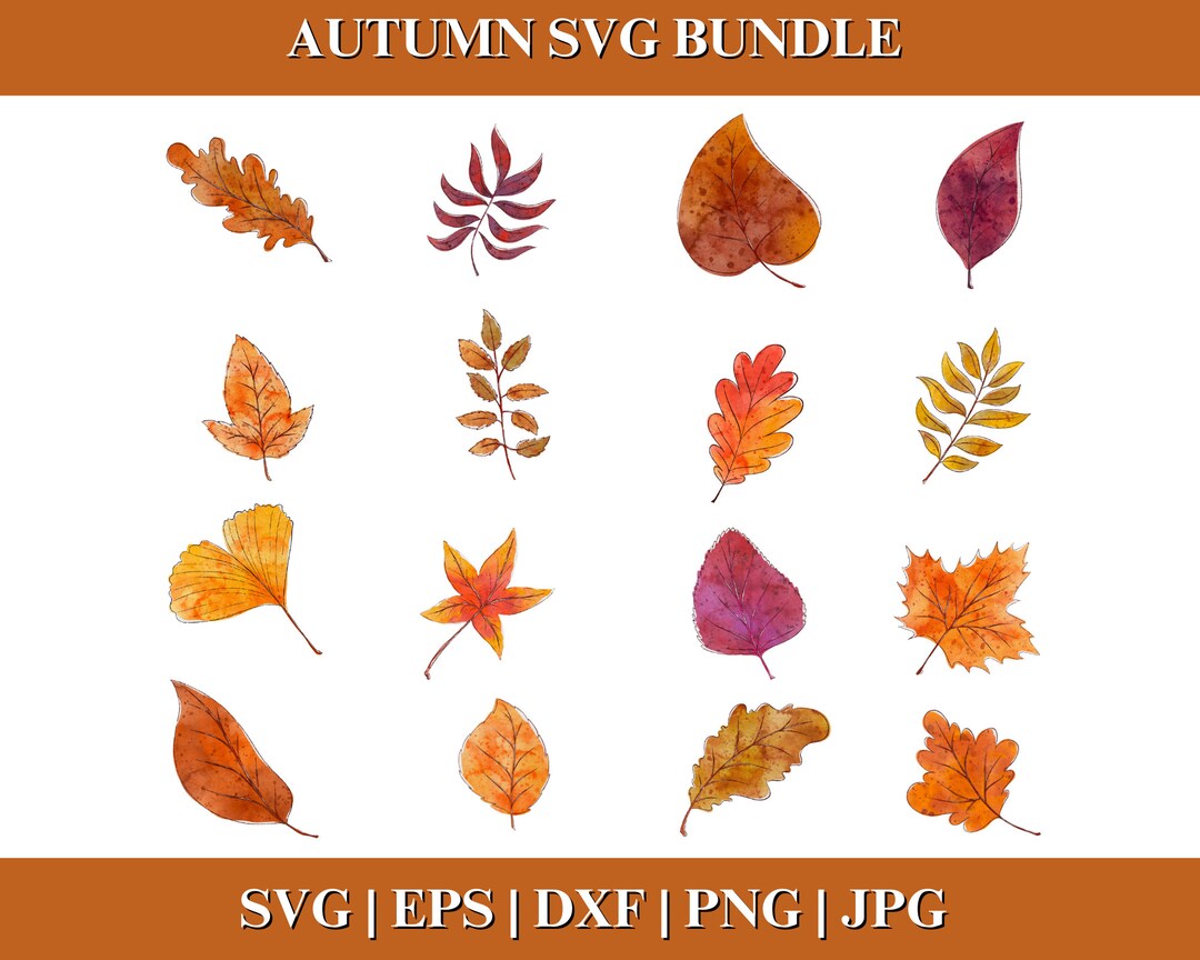 Autumn Leaves SVG, Fall Leaf Clipart Bundle, Maple Leaf Cut File for ...