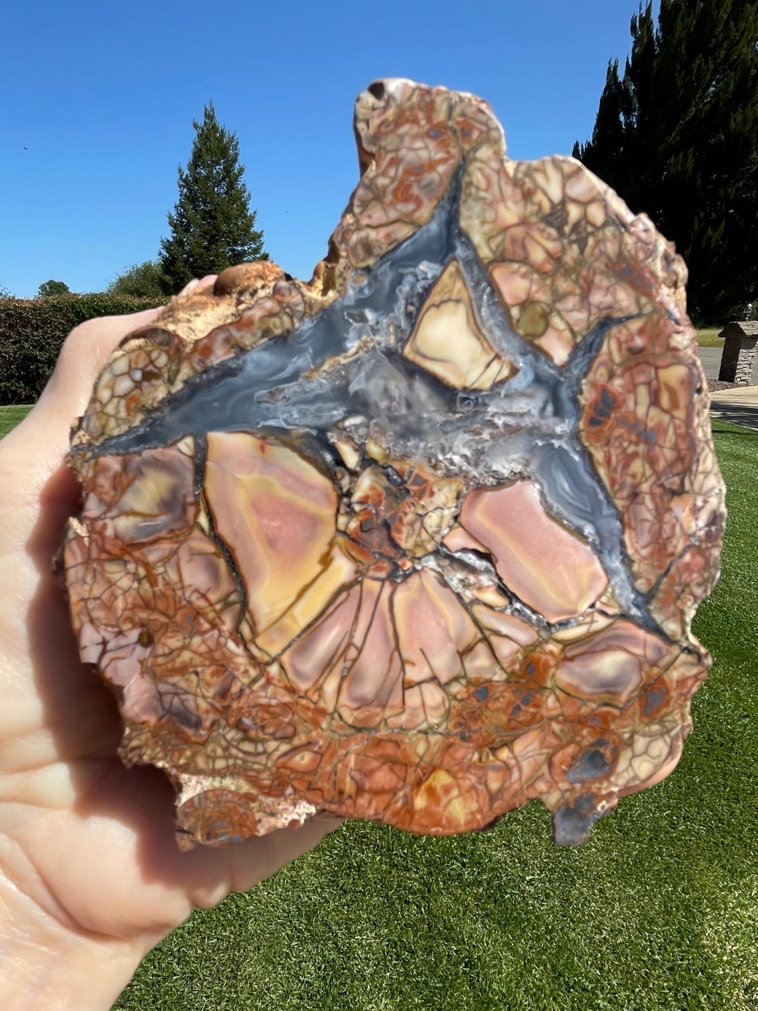 Another Absolutely Amazing Cold Mountain Jasper Thunderegg Half, Cut ...