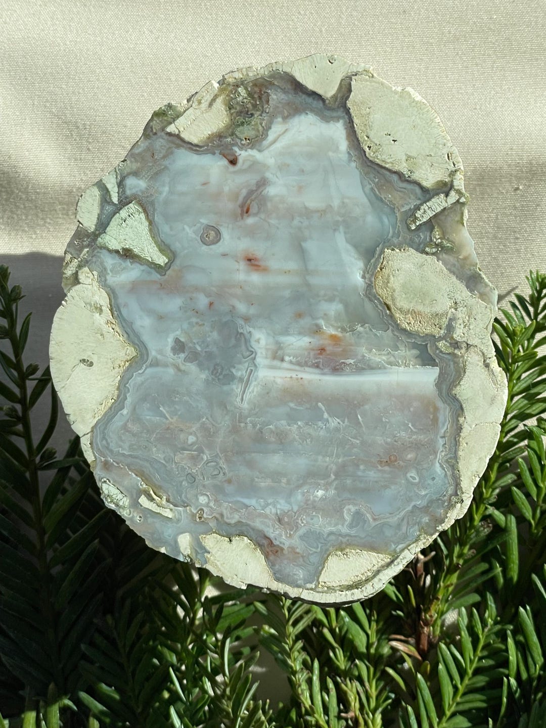 Beautiful Buchanan Thunderegg Half, Cut and Polished #Y204 - Etsy