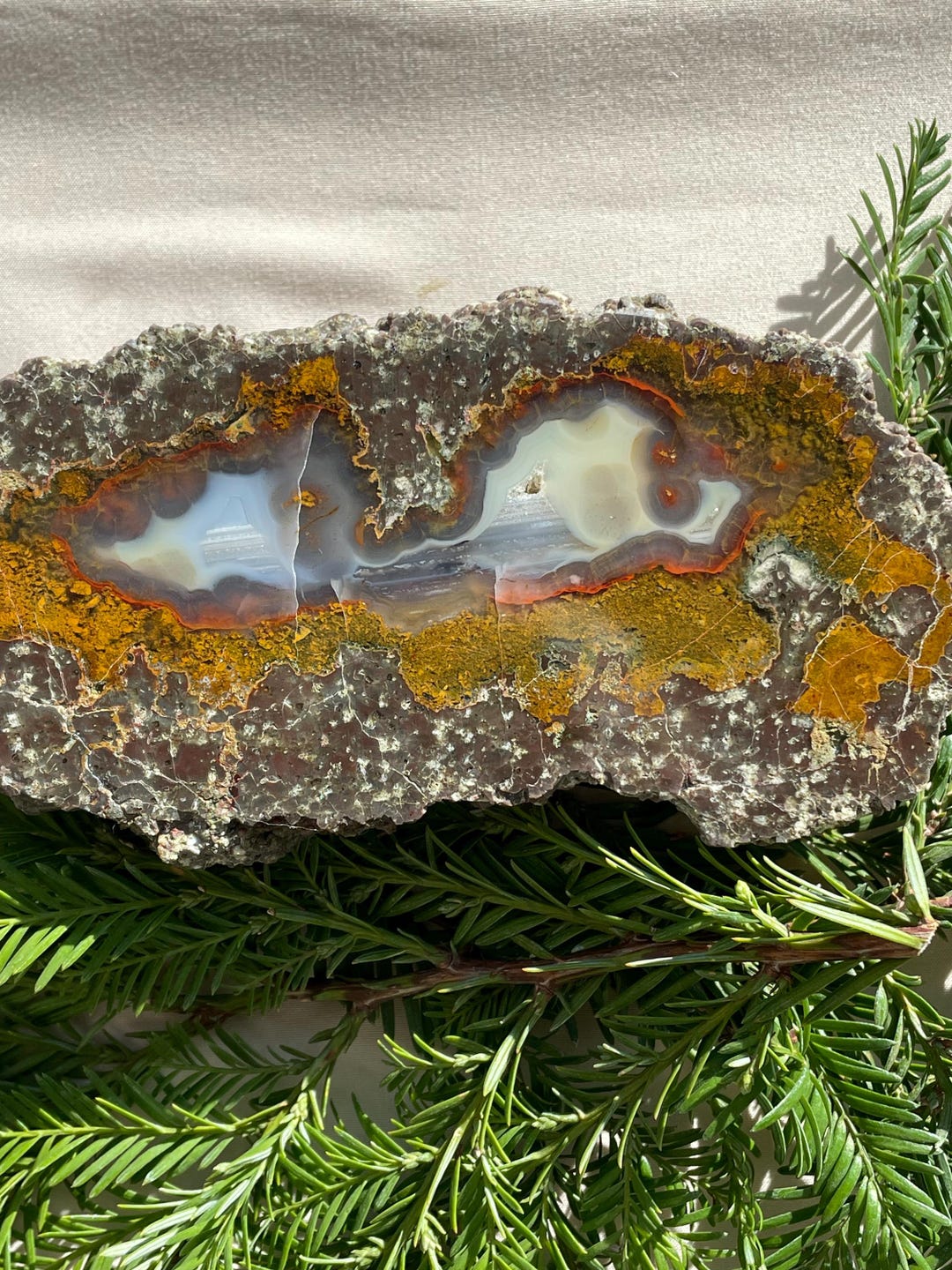 Absolutely Stunning Oregon Triple Thunder Egg Half, Cut and Polished # ...