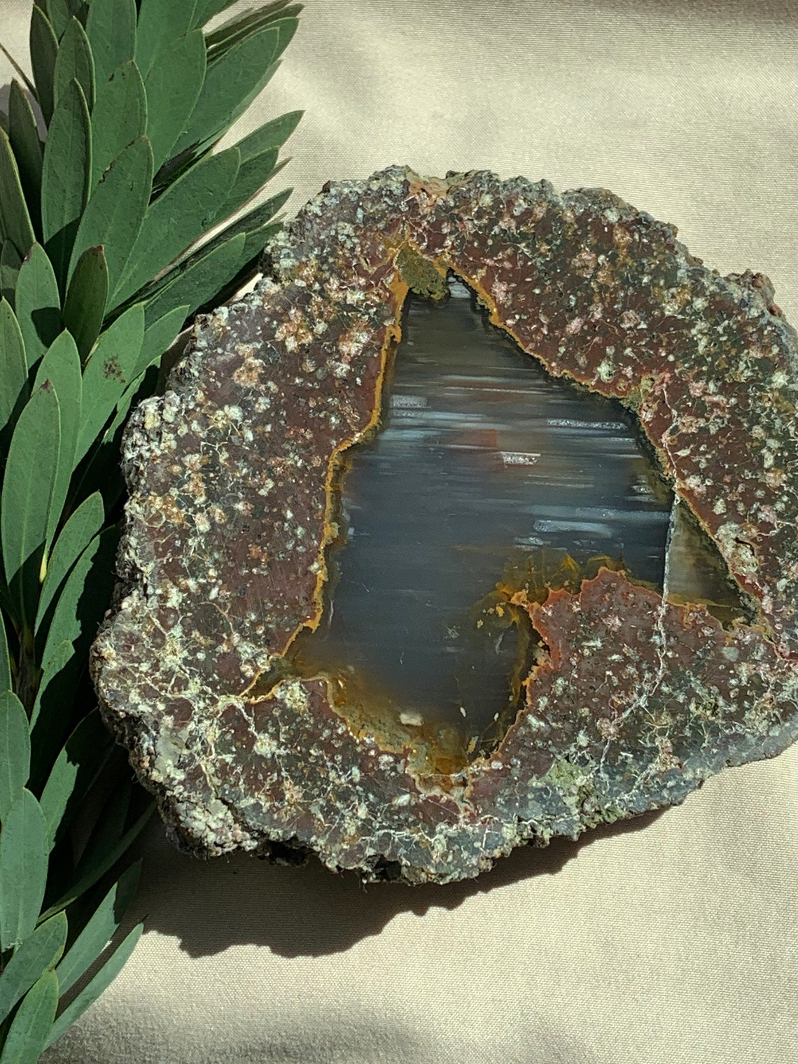 Inventory Reduction Sale: Stunning Waterline Agate Thunder Egg - Etsy