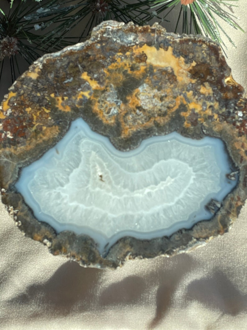 Large Coconut Geode/nodule Half, Cut and Polished #P112 - Etsy