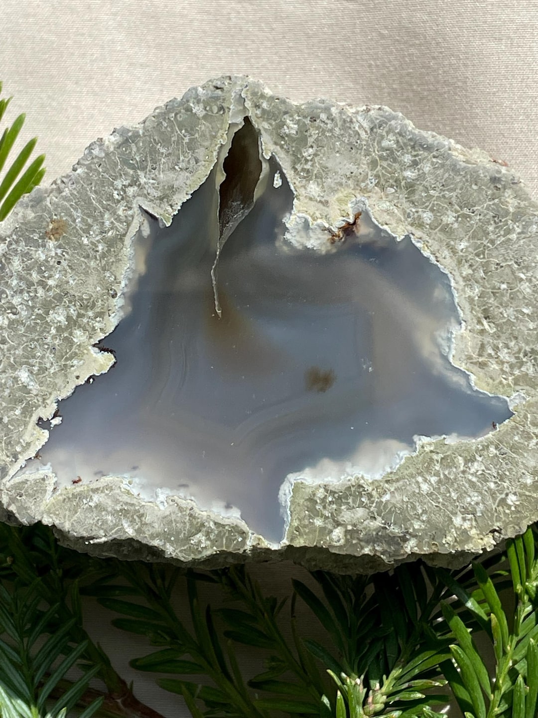 Nice Little Oregon Thunderegg Half, Cut and Polished, #B199 - Etsy