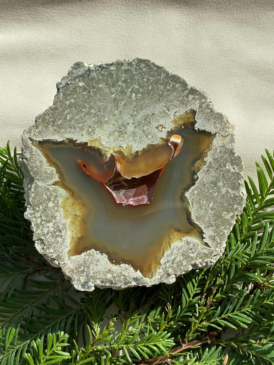 Smiley Face Oregon Thunderegg Half, Cut and Polished #C125 - Etsy