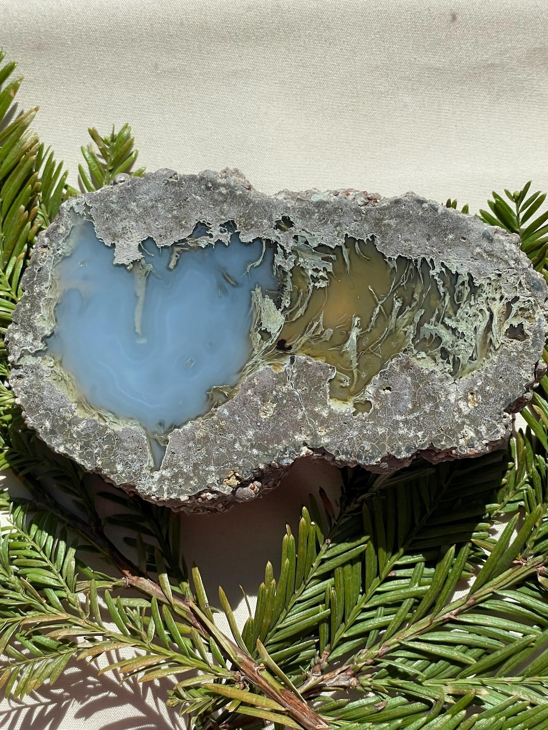 Beautiful Oregon Double Thunderegg Half, Cut and Polished #Y209 - Etsy