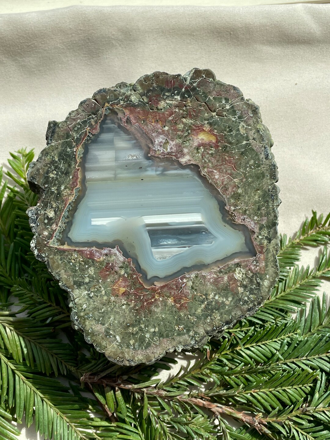 Large and Very Beautiful Waterline Agate Oregon Thunderegg Half, Cut ...