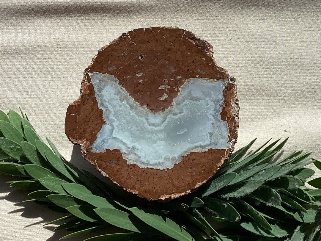 Spring Special:lacy Mexican Geode/nodule, Cut and Polished GO111 - Etsy