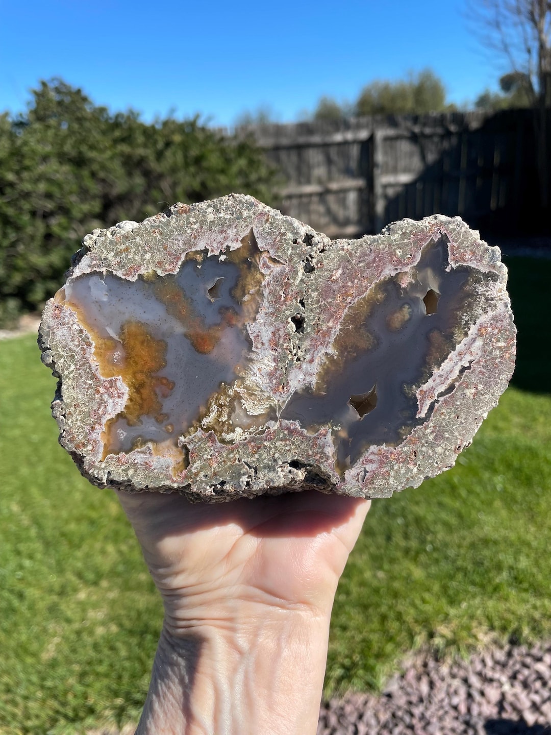 Incredible Very Large Oregon Plume Agate Double Thunderegg Half, Cut ...