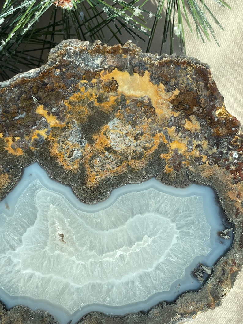 Large Coconut Geode/nodule Half, Cut and Polished #P112 - Etsy