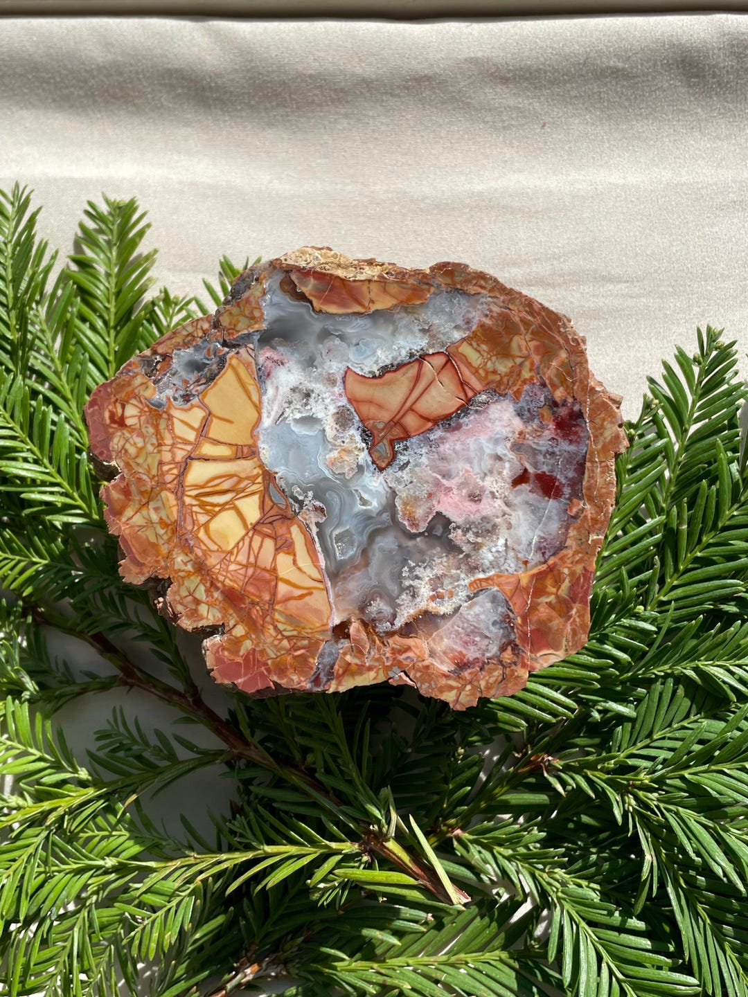 Absolutely Amazing Cold Mountain Jasper Thunderegg Half, Cut and ...